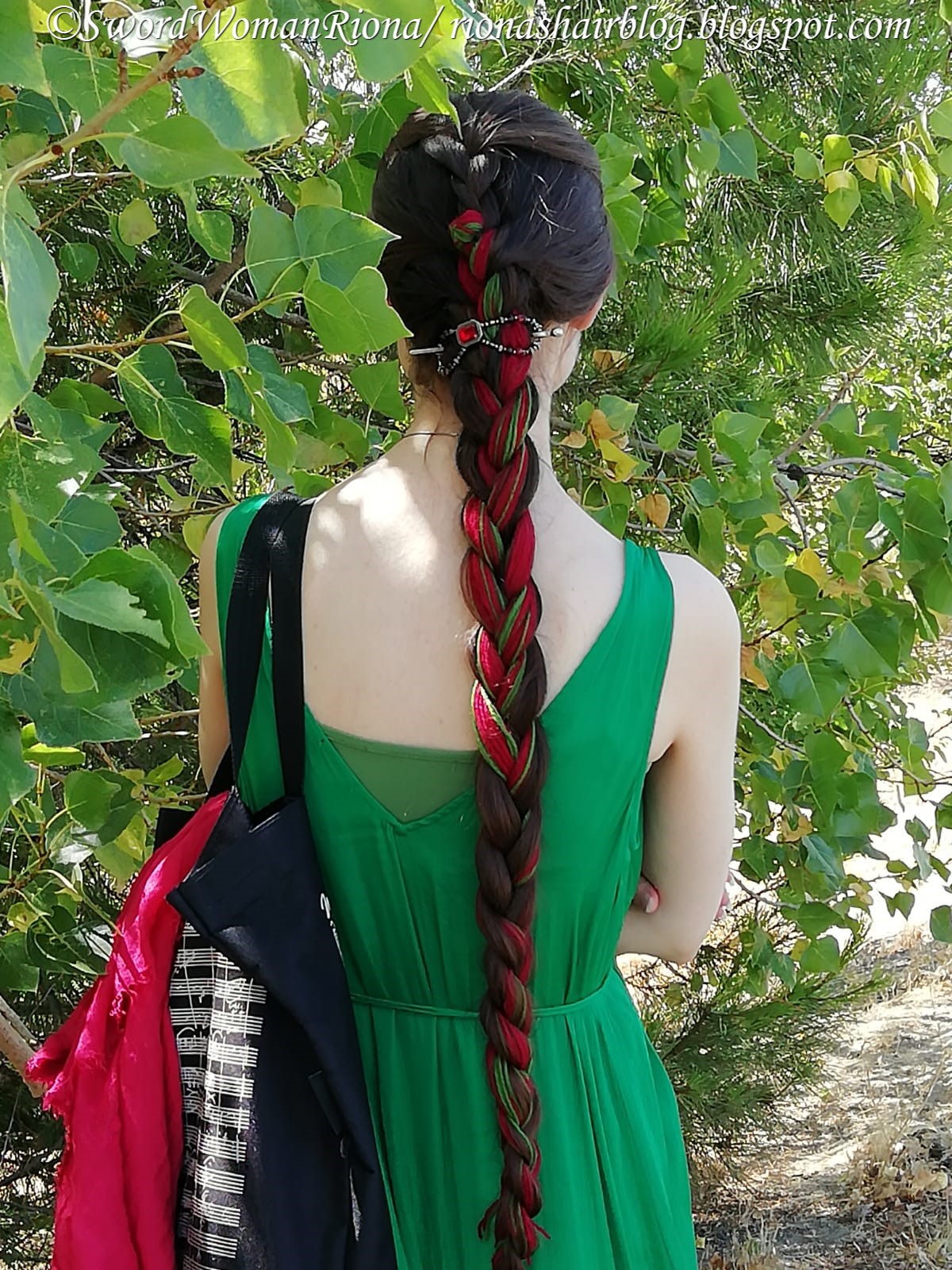 A Sword-woman's Natural Hair blog: 2019 hair - Paranda French braid