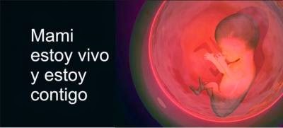 ¿Que opinas del aborto?: Se entiende por aborto toda expulsión del feto ...