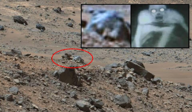 Strange Creature and Levitating Sphere caught on Mars?