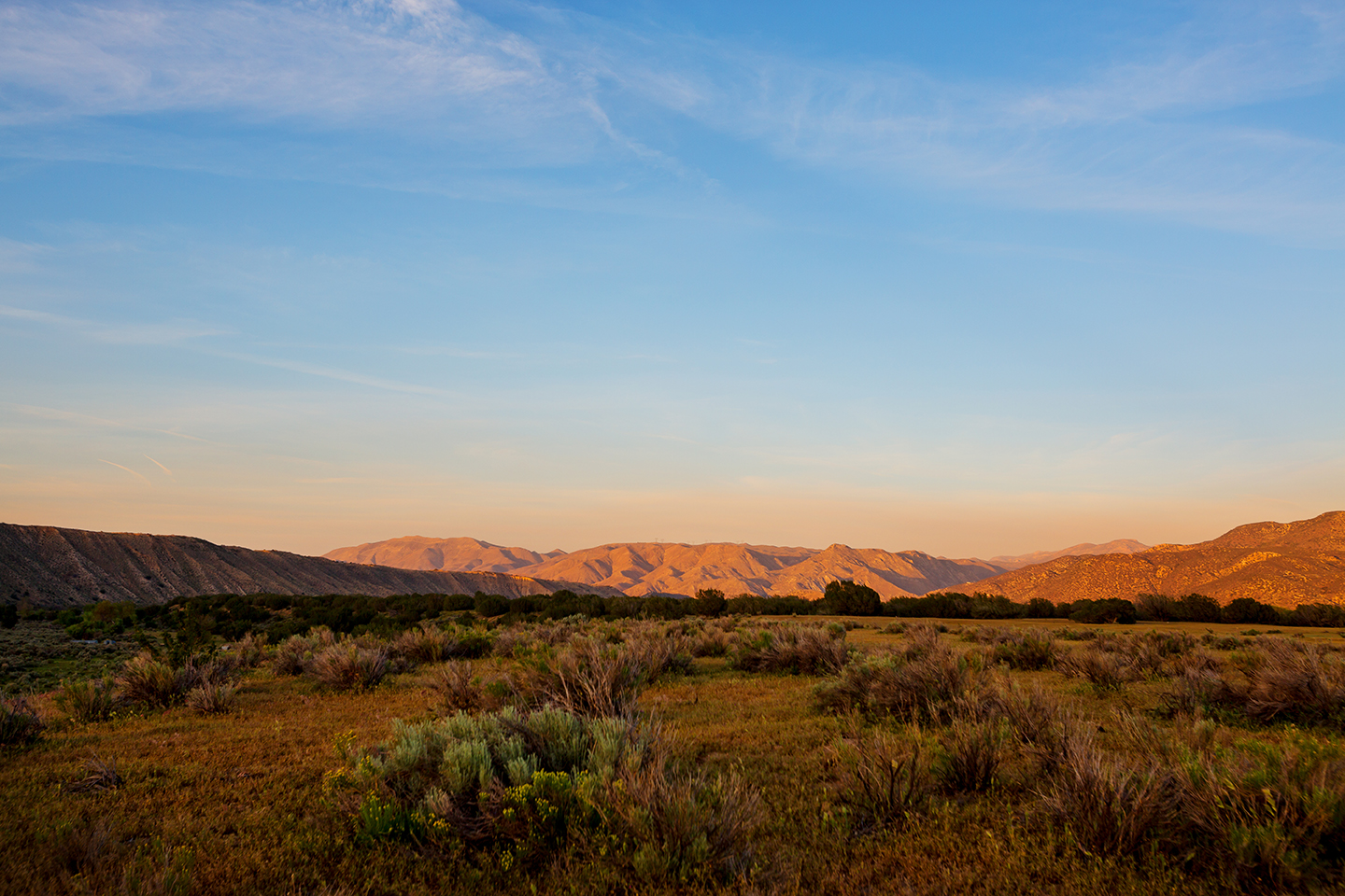 KEN REDDING Photographer: Hesperia, California and the Upper Sonoran Zone