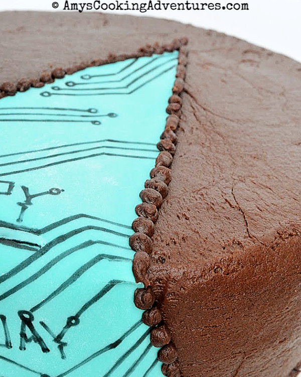 Rich Chocolate Cake & Circuit Board Cake