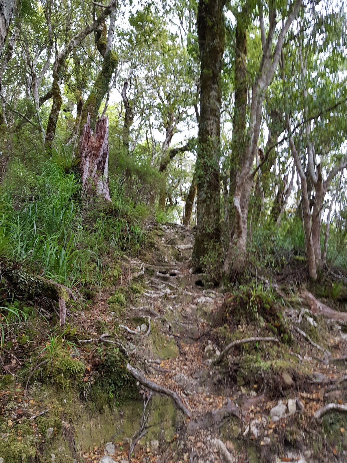 Tramping the Tararuas: Blue Range Hut