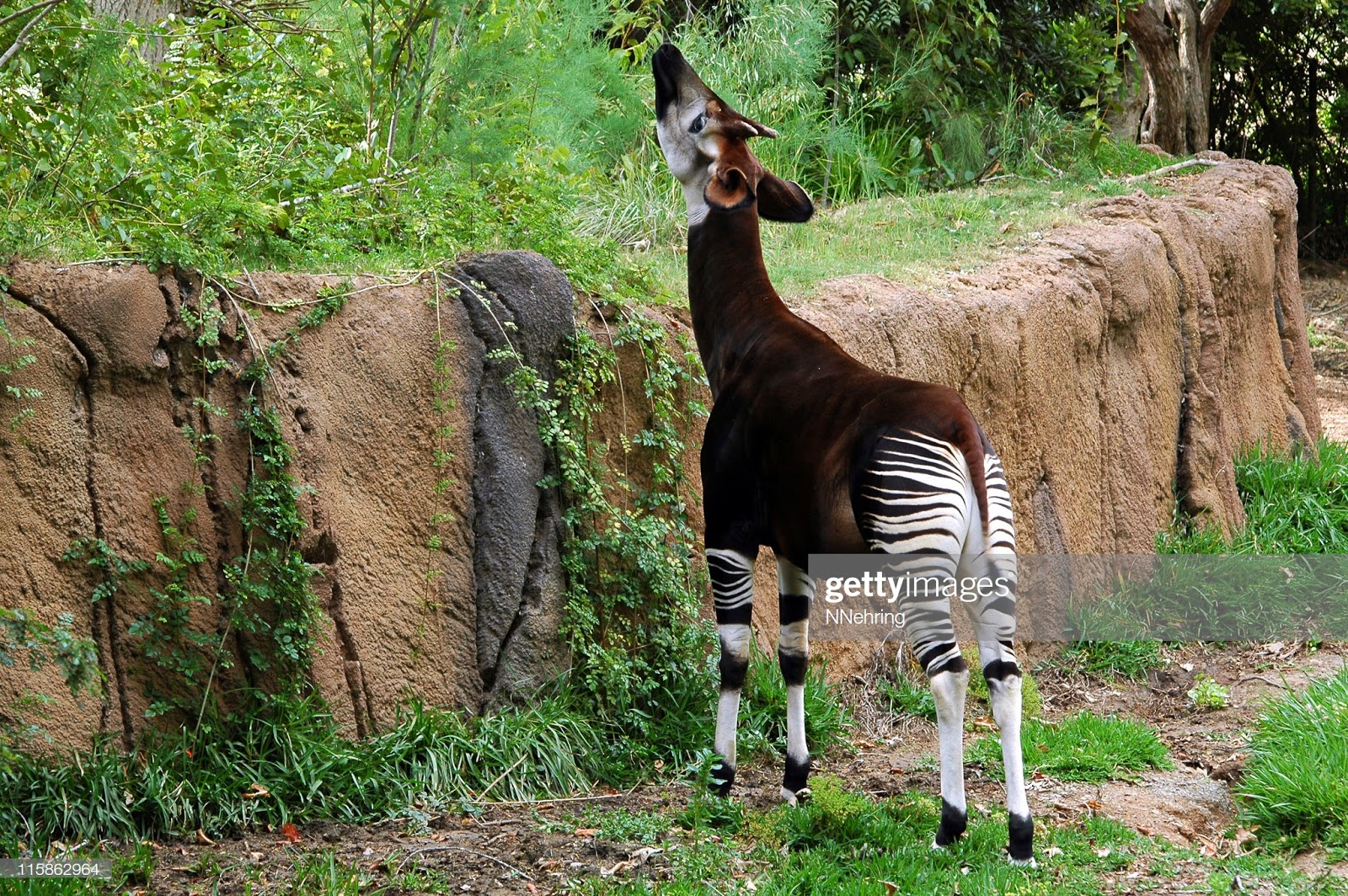 Christophe CIRUMIRA: Valorisation et Conservation particulière de l ...