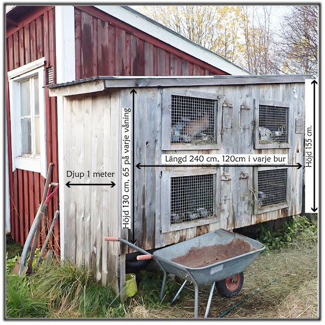 Forsnäs Hemman: Kaninburar