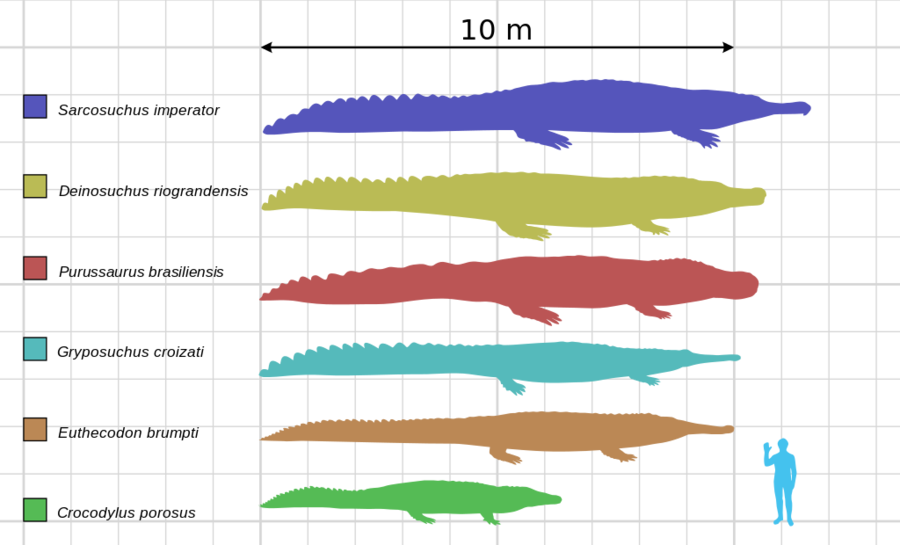 Documentalium: El cocodrilo más grande que ha existido