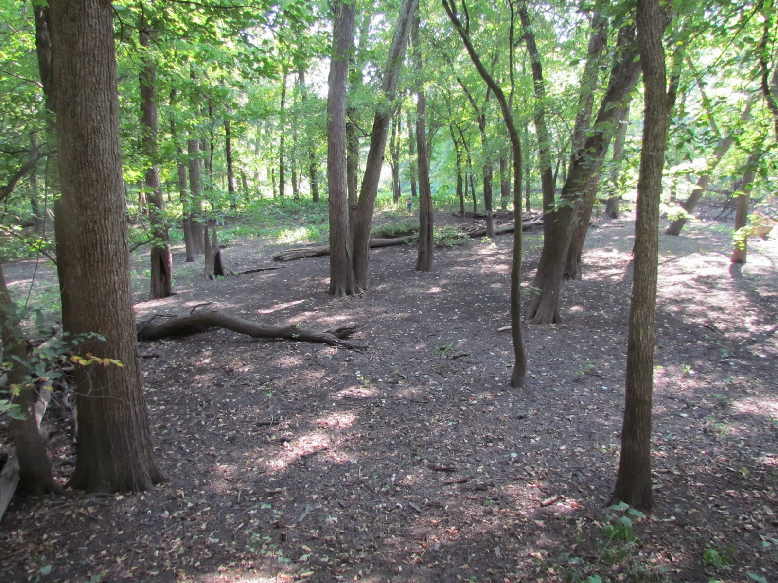 Wetland Hydrology Indicators: Sparsely Vegetated Concave Surface
