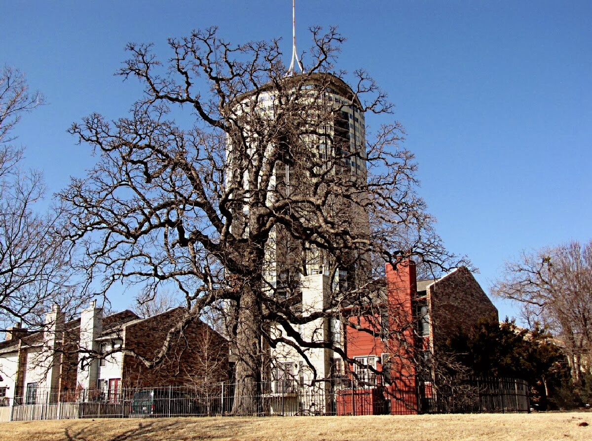Tulsa Gentleman: Skywatch Friday - Creek Council Oak