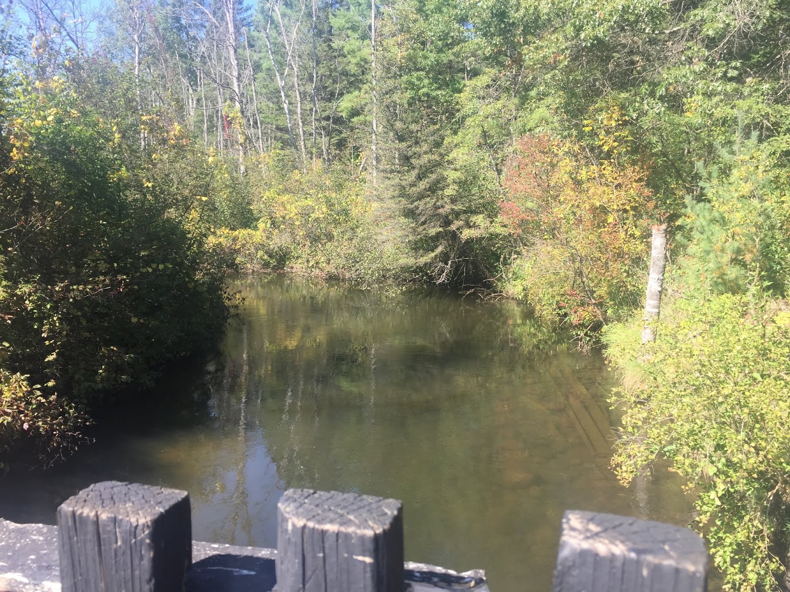 Travel Reviews & Information: Northeast Lower Michigan: Rifle River ...