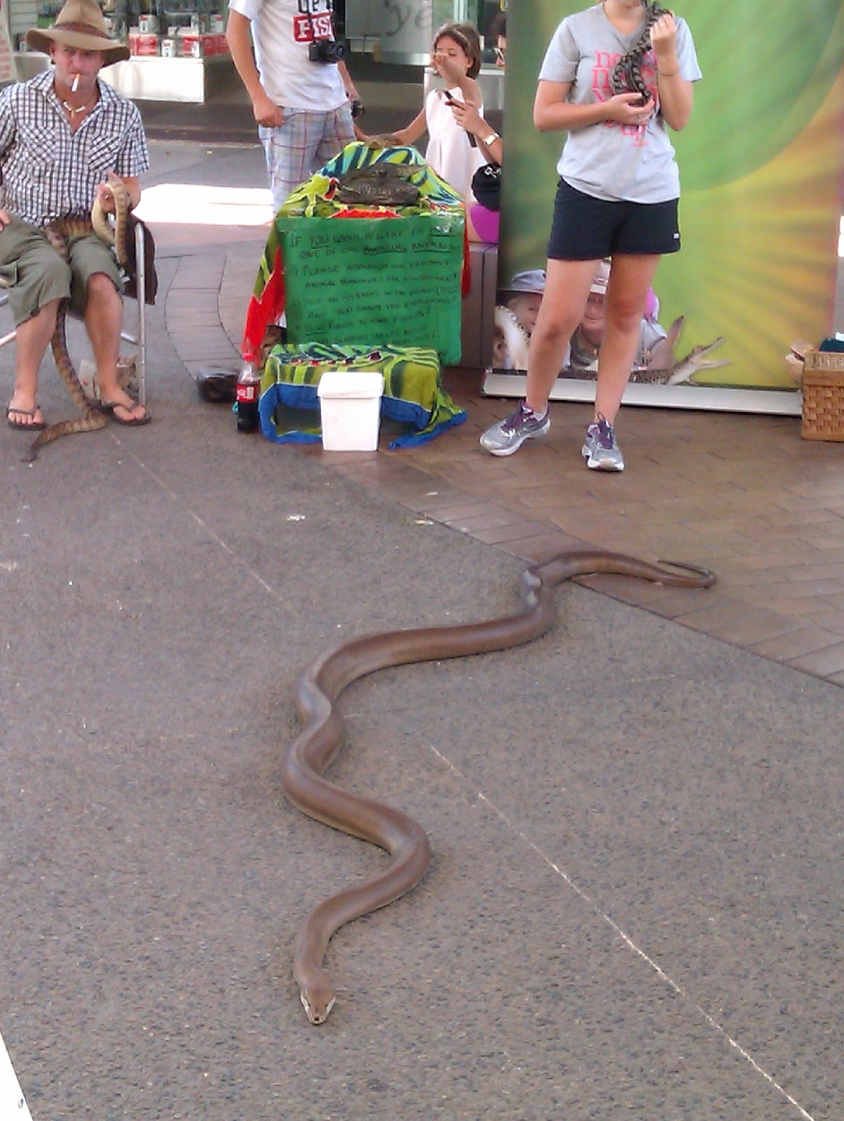 SV "The Doctor": May 2012