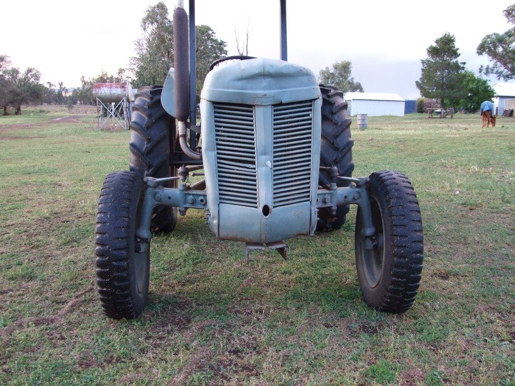 Grey Fergie Tractor Muster: Fergies For Sale