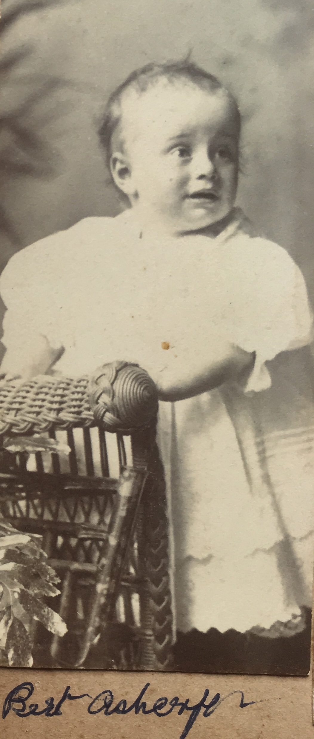 The Cobb Family of Napier: Elsie