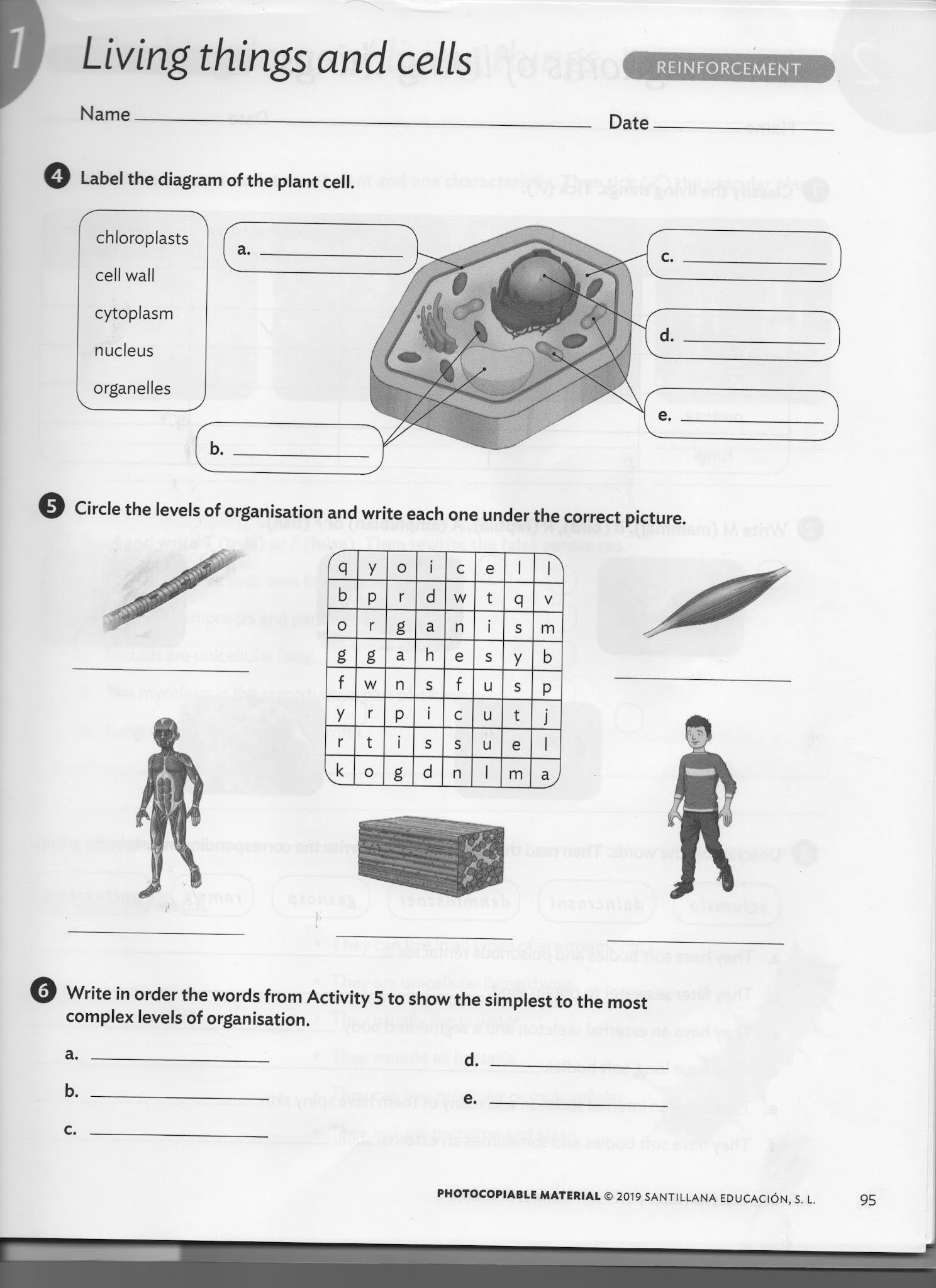 Natural Science 5th course: UNIT 1: LIVING THINGS AND CELLS