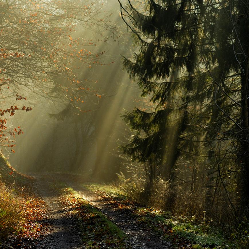 Epitome: Accepting God’s Paths for Life