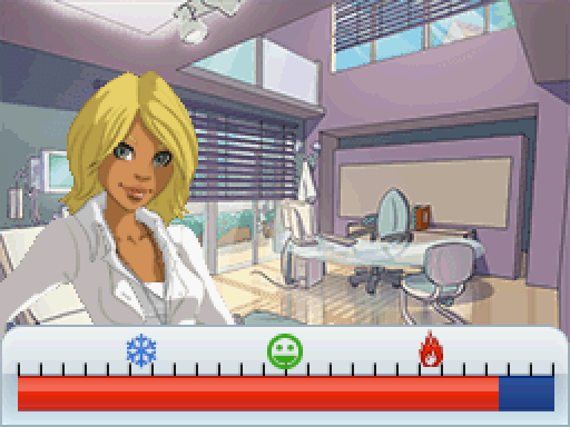 VGJUNK: IMAGINE: DOCTOR (NINTENDO DS)