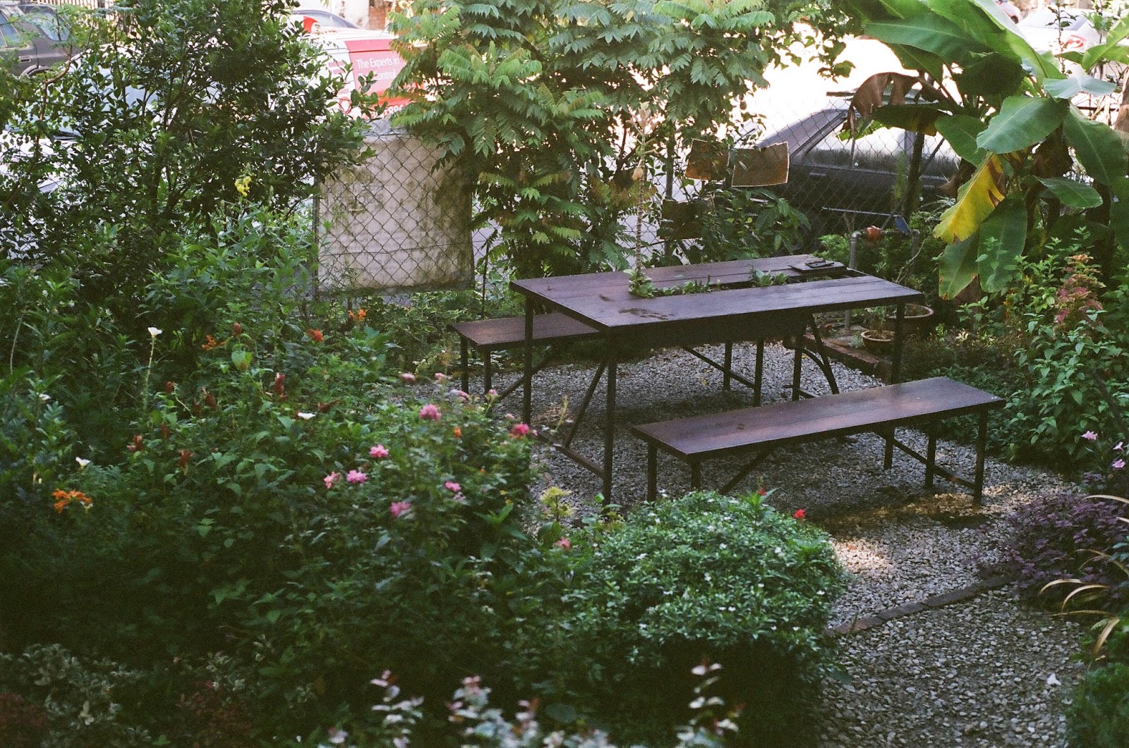 Baida Hercus - On saving the world one seedling at a time