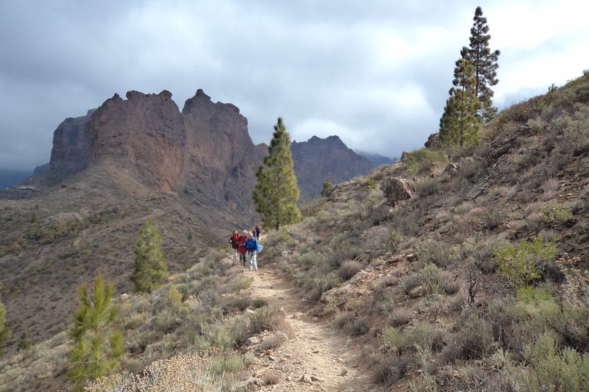 Mi Gran Canaria: ASERRADOR, MONTAÑA EL (TEJEDA)