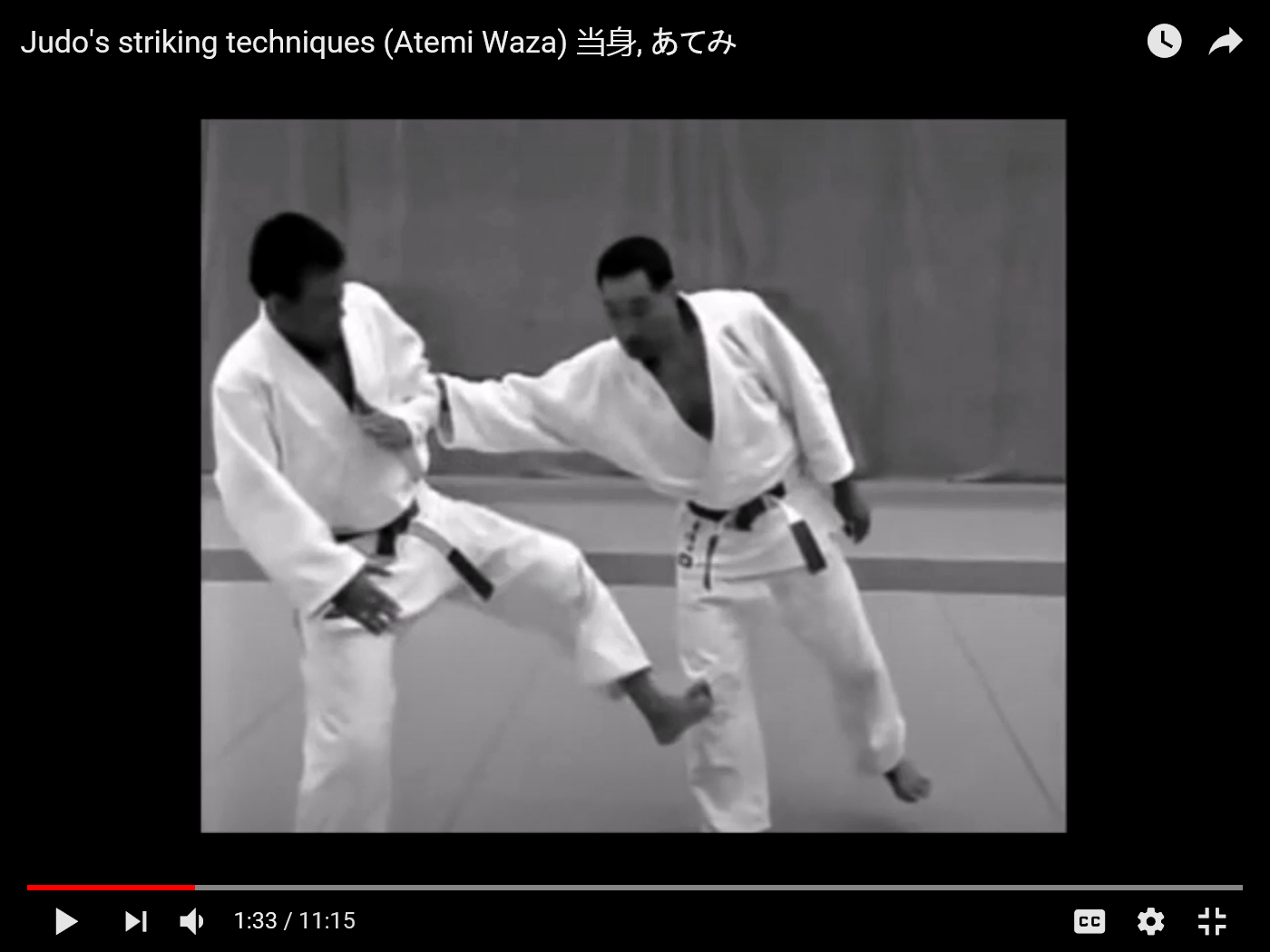 Isshin - Concentration the Art: Judo's striking techniques (Atemi Waza ...