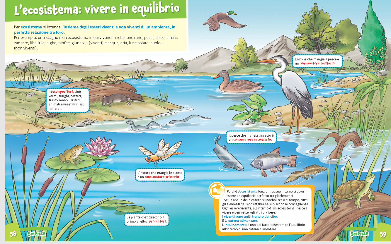 Boscofiorito: Lo stagno