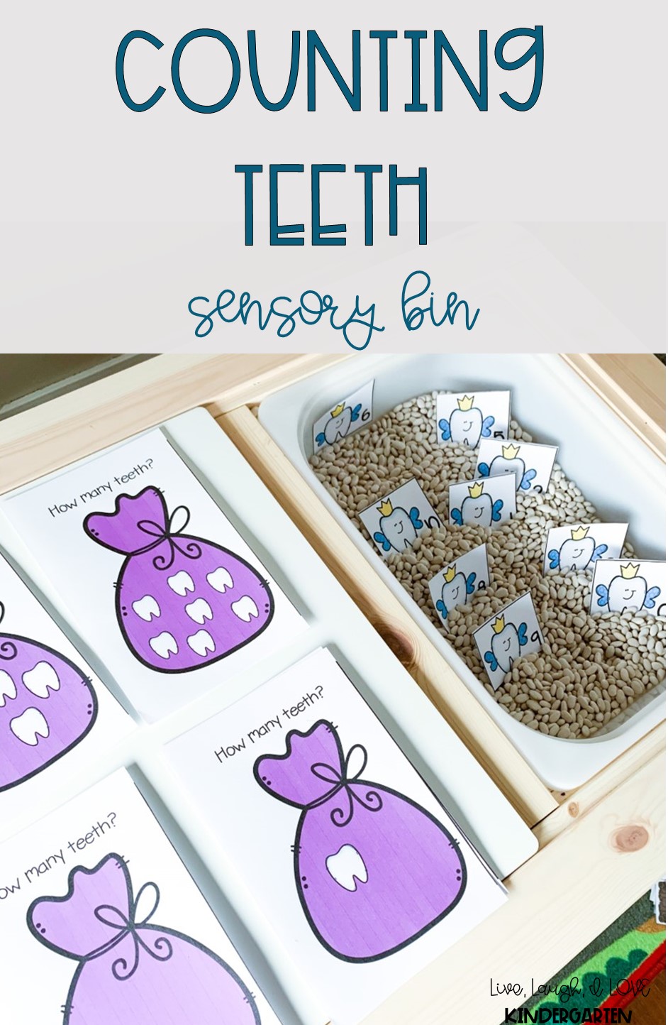 Saturday, February 8, 2020 - Leave a Comment