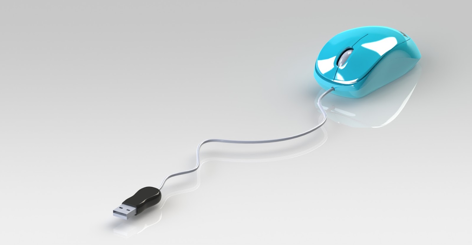 My journey: Completed Mouse Model