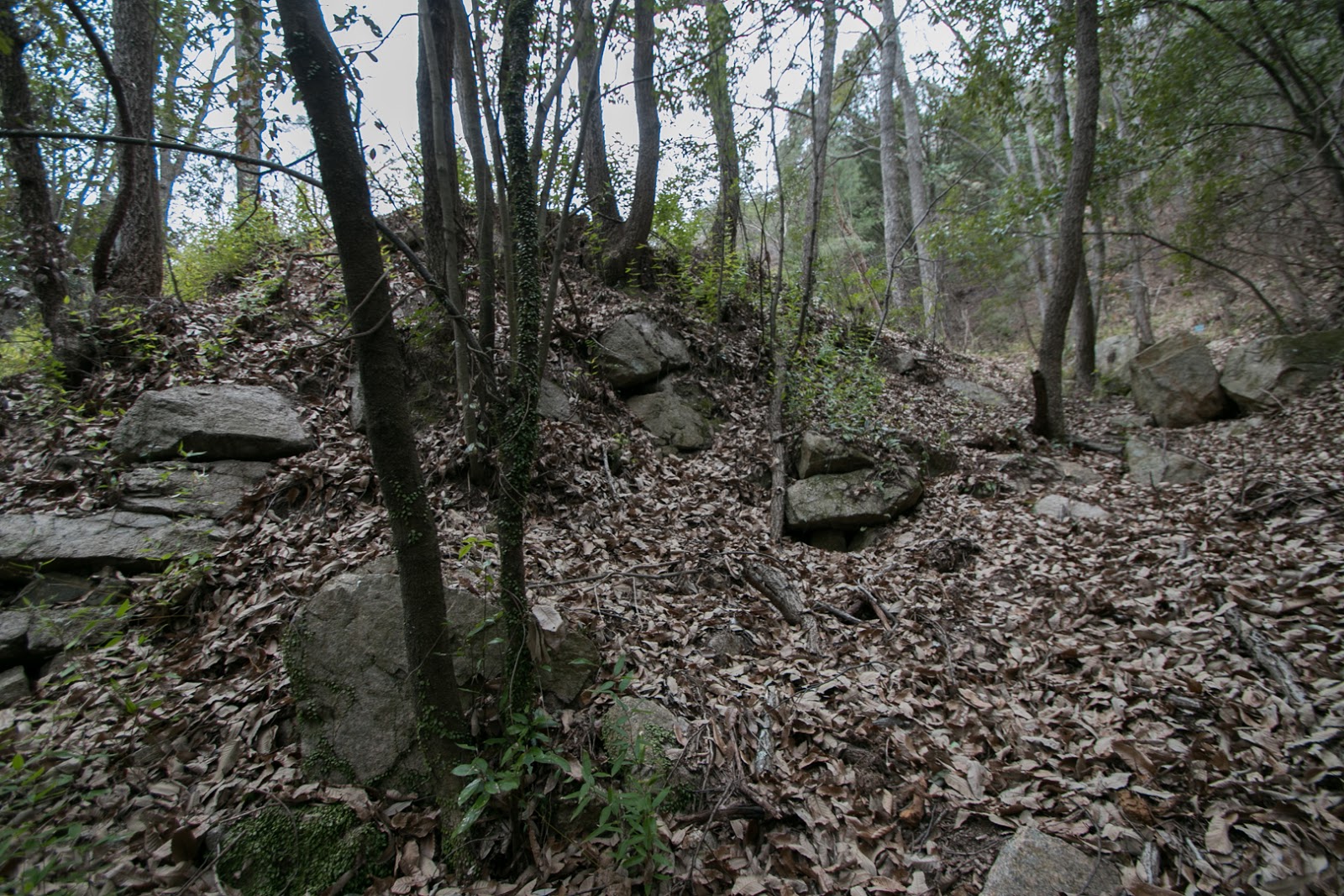 Niitakayama Castle -Intellectual pillar of Mouri clan (2)- | Japan ...
