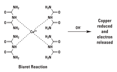 PROTEİN: LOWRY METHOD