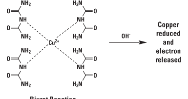 PROTEİN: LOWRY METHOD