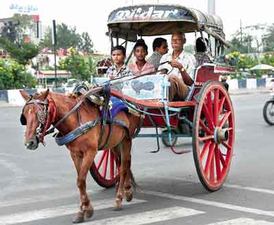 Adieu Letter to My Petrol Car - Tech Quark