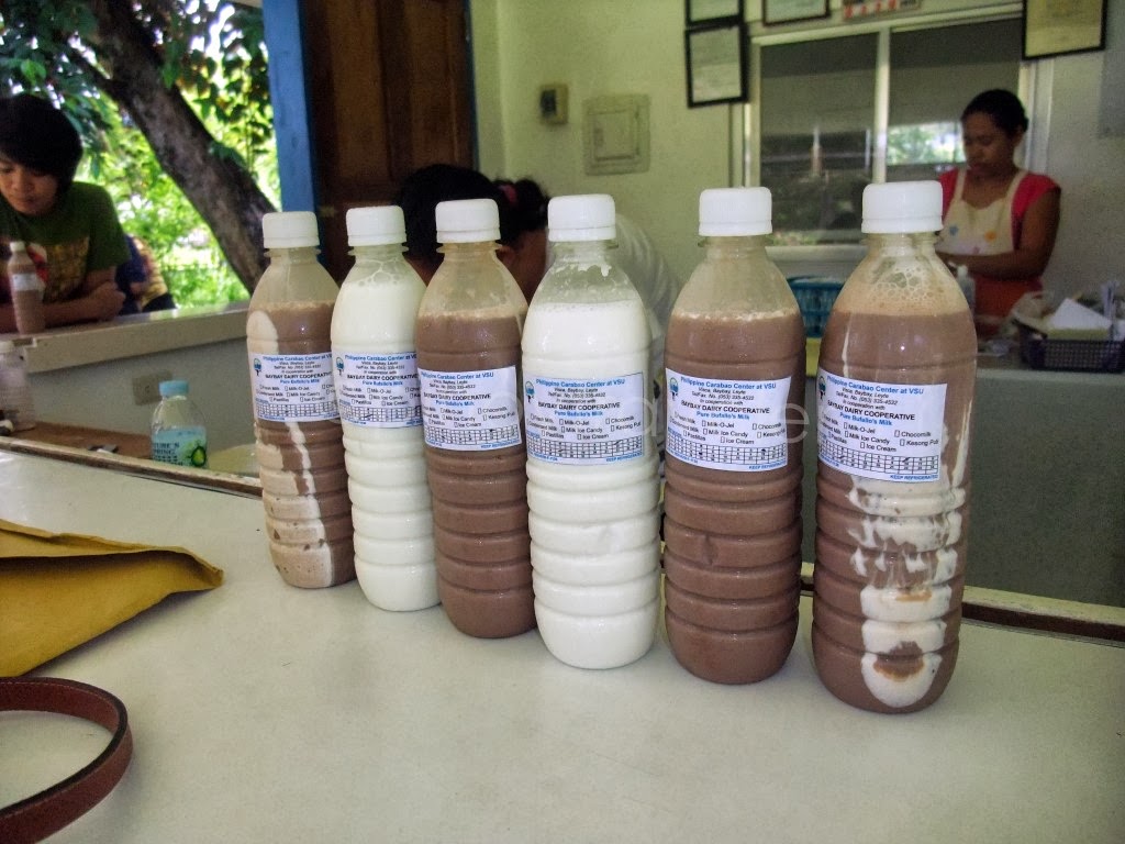 Choco-Milk at Philippine Carabao Center VSU