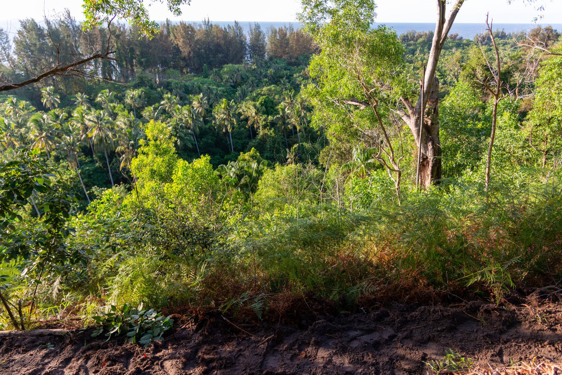 Merinding Trail Jalan Baru