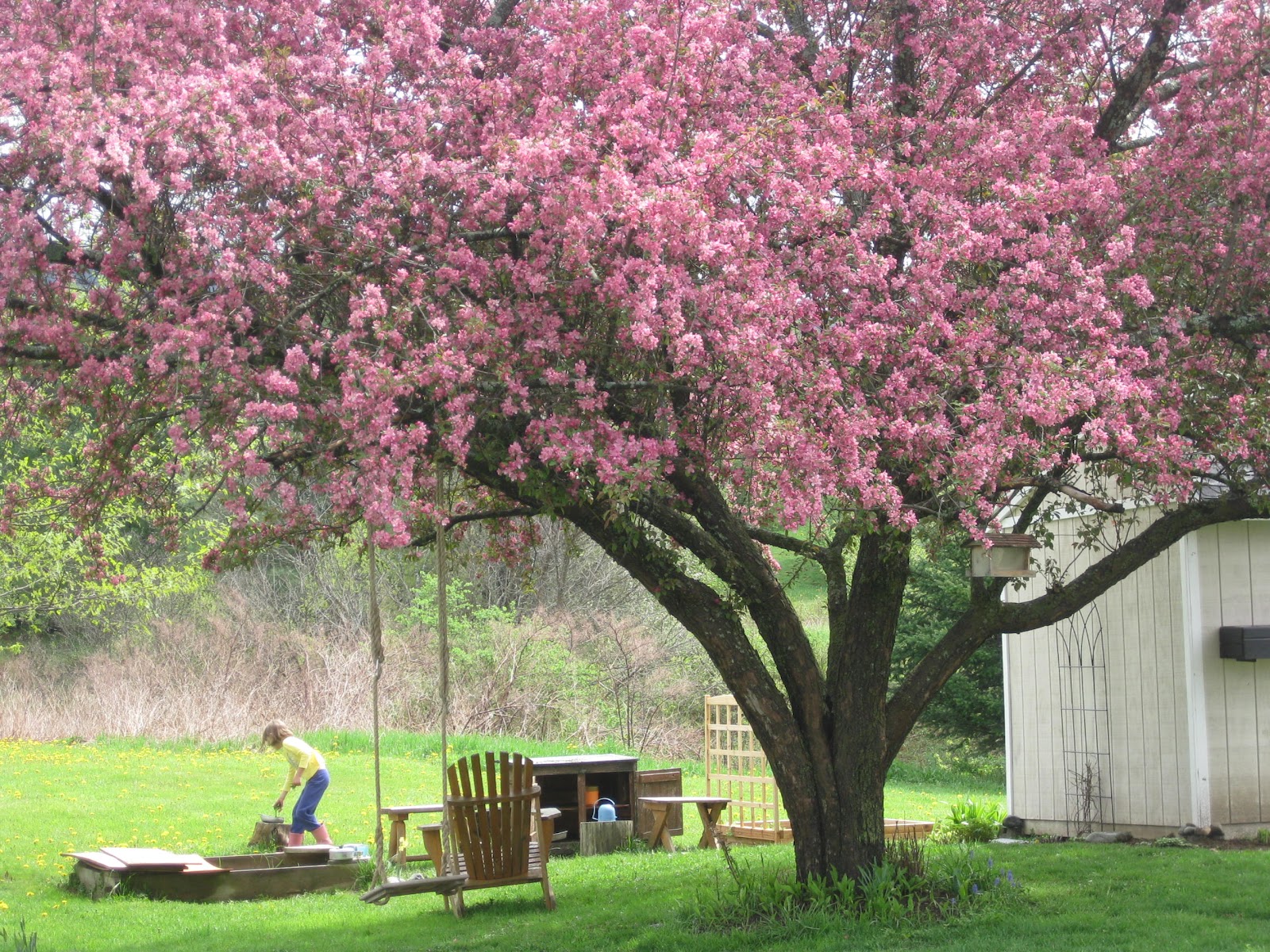 The Wonder Years: May Nature Table Crafts