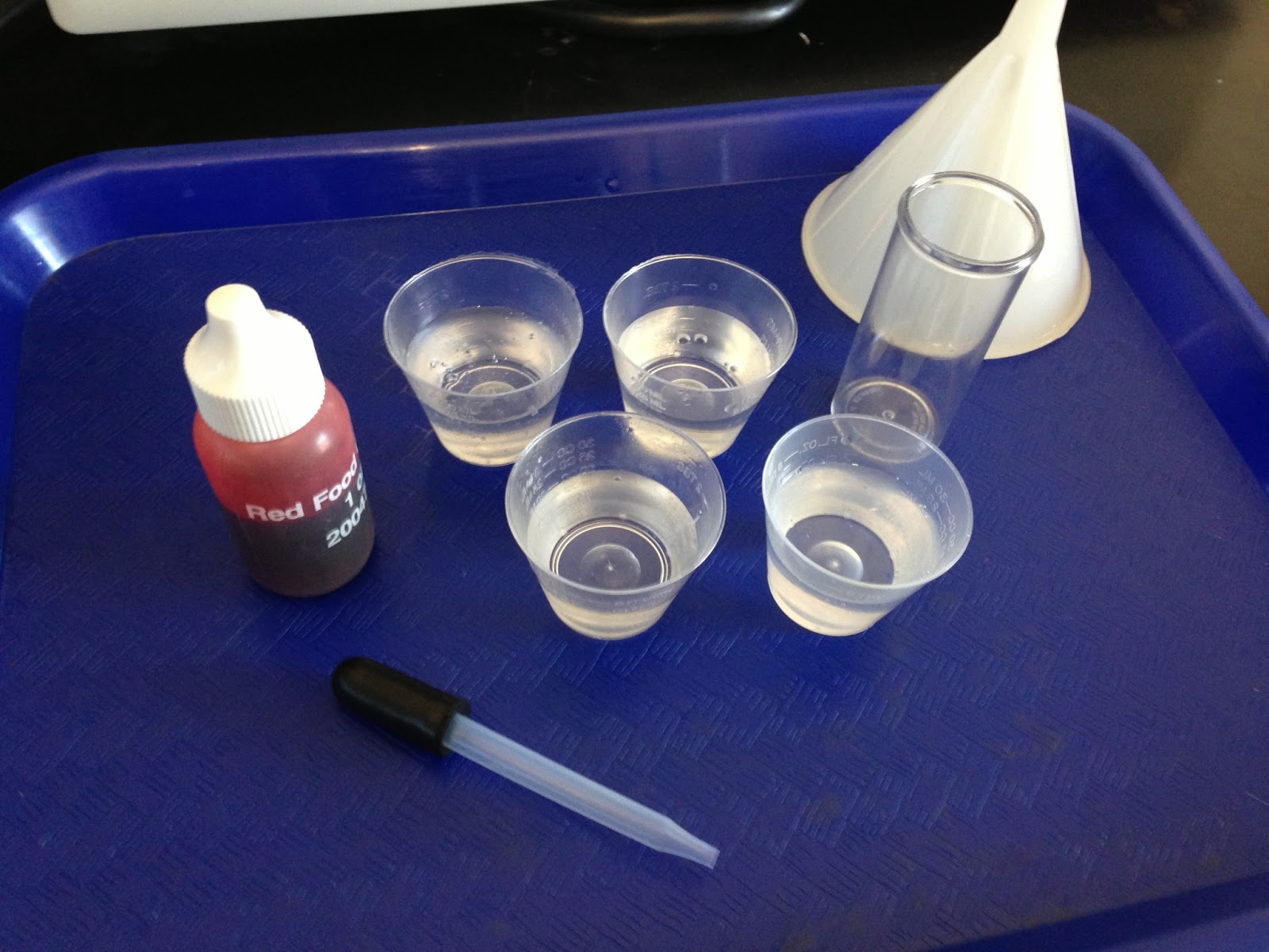 Fabulous Fifth Grade