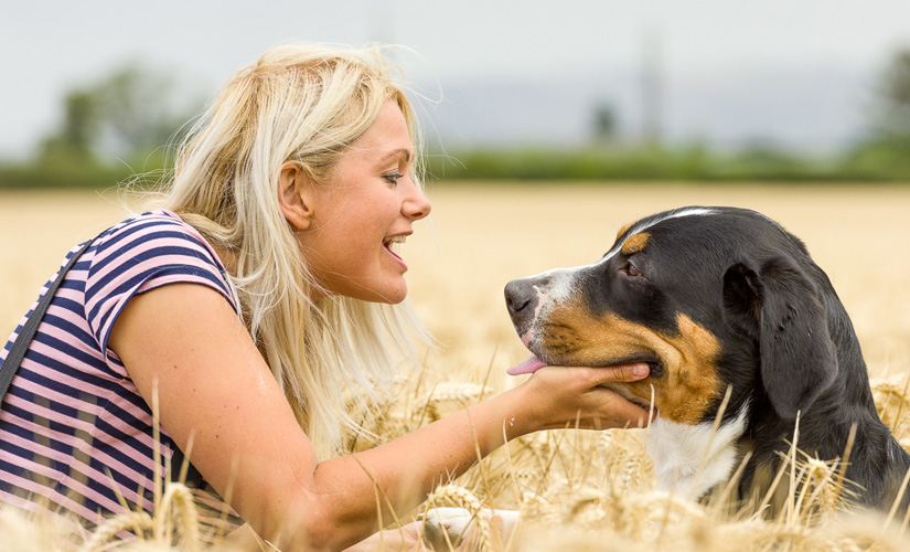 Jaxpetland Significance Of Pets In Human s Life jaxpetland-significance-of-pets-in-human-s-life