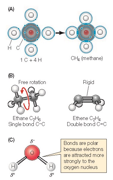 CHEMICAL BONDS - pediagenosis