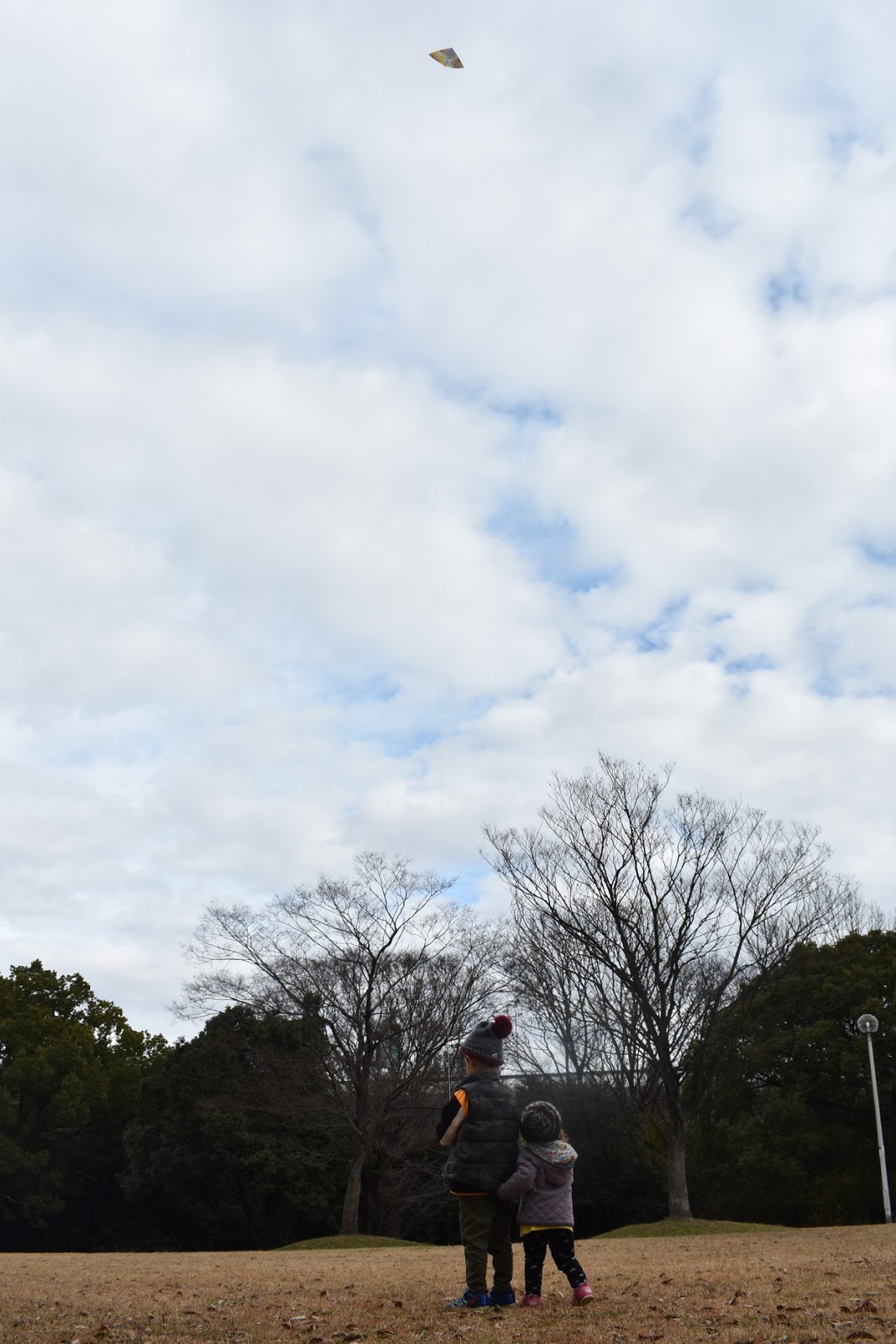 Getting Back into Baseball Cards....in Japan: Go fly a Kite!