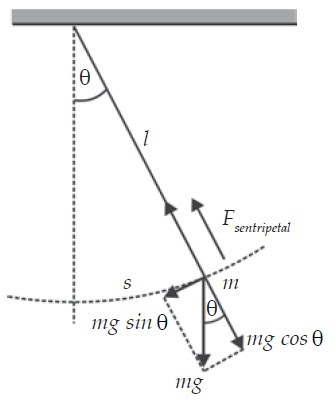 Belajar Fisika dengan Materi Pendulum Sederhana Menggunakan Software ...