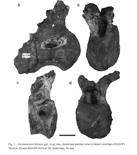DINOSAURIOS CON SELLO CHILENSIS: ATACAMATITAN & MASTODONTE