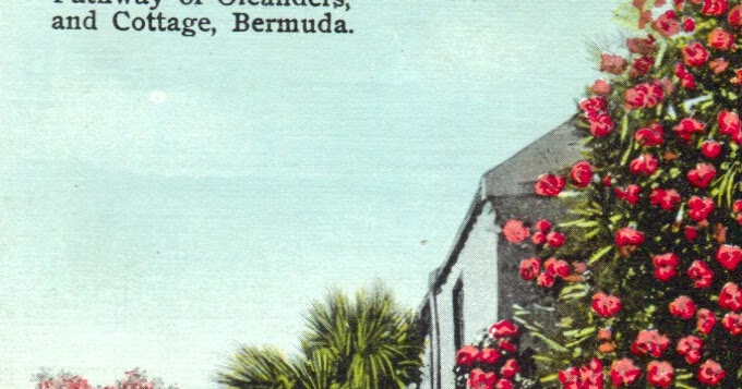 My Bermuda Postcards: Hello!