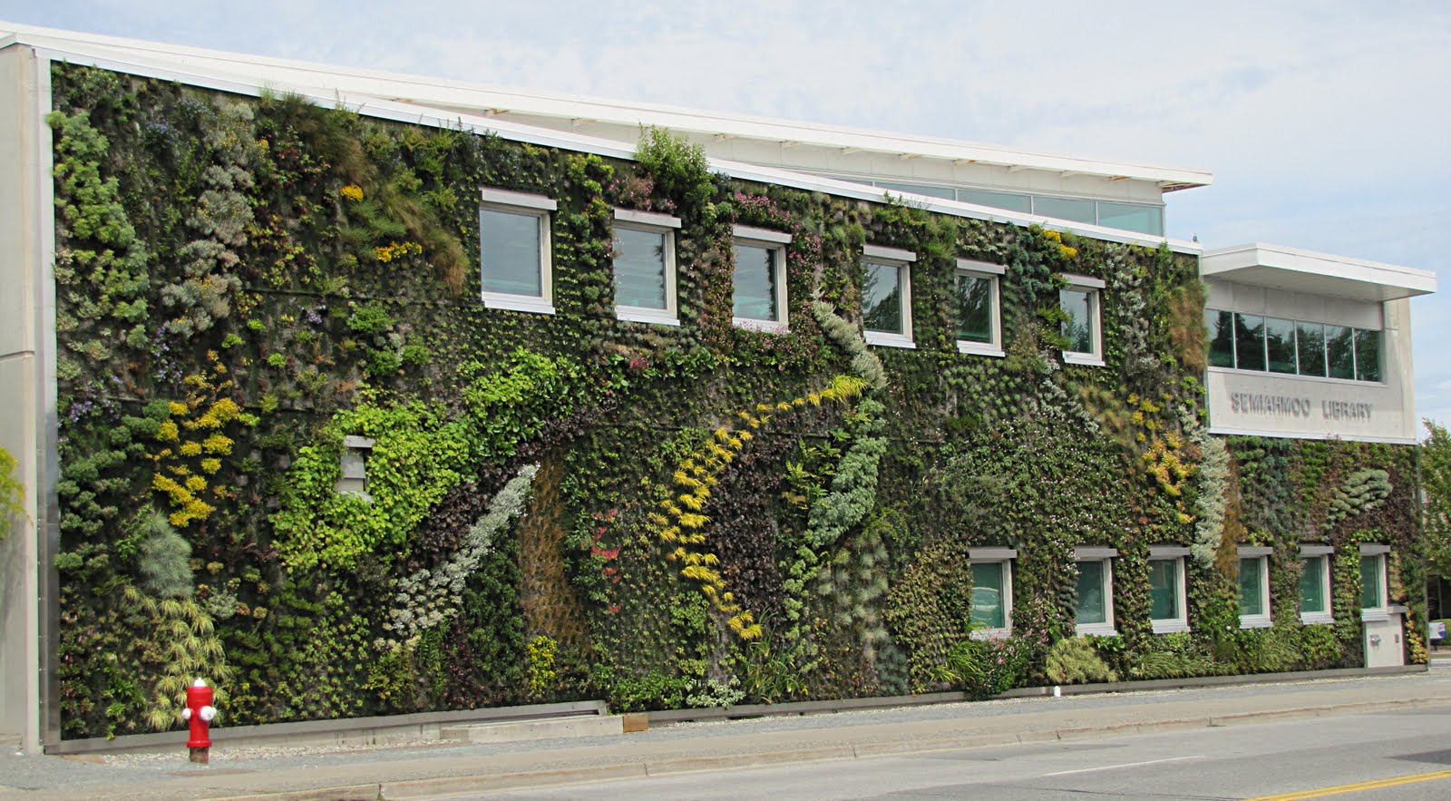 Hanging Basket: Indoor green wall/Indoor landscaping