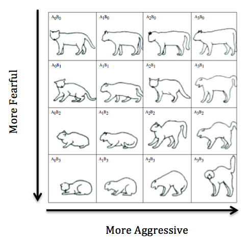 Vet Changes World: Animal Safety Pt. 2