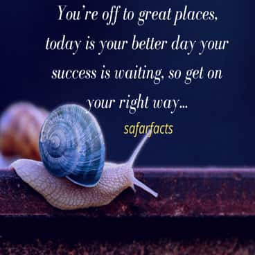 51+Small Simple (Thought Of The Day) Actions make big - Recent post ...