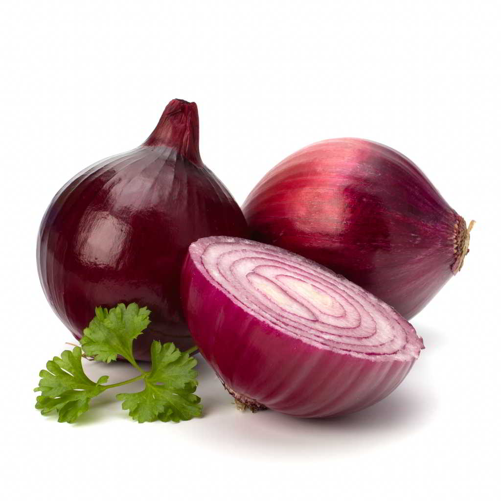 Cebola (Allium cepa)