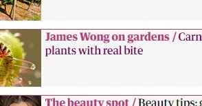 Ambush Predator: The Good Old 'Grauniad' Shows Us How It's Done...