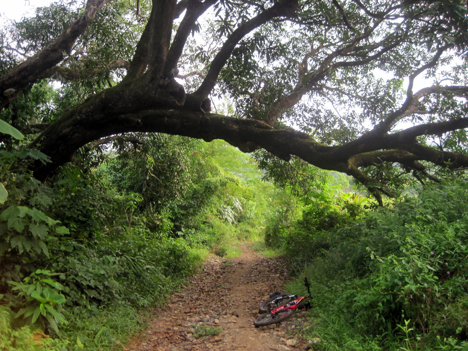 Bulacan Trails: Puning Cave, Brgy. Bayabas, DRT, Bulacan