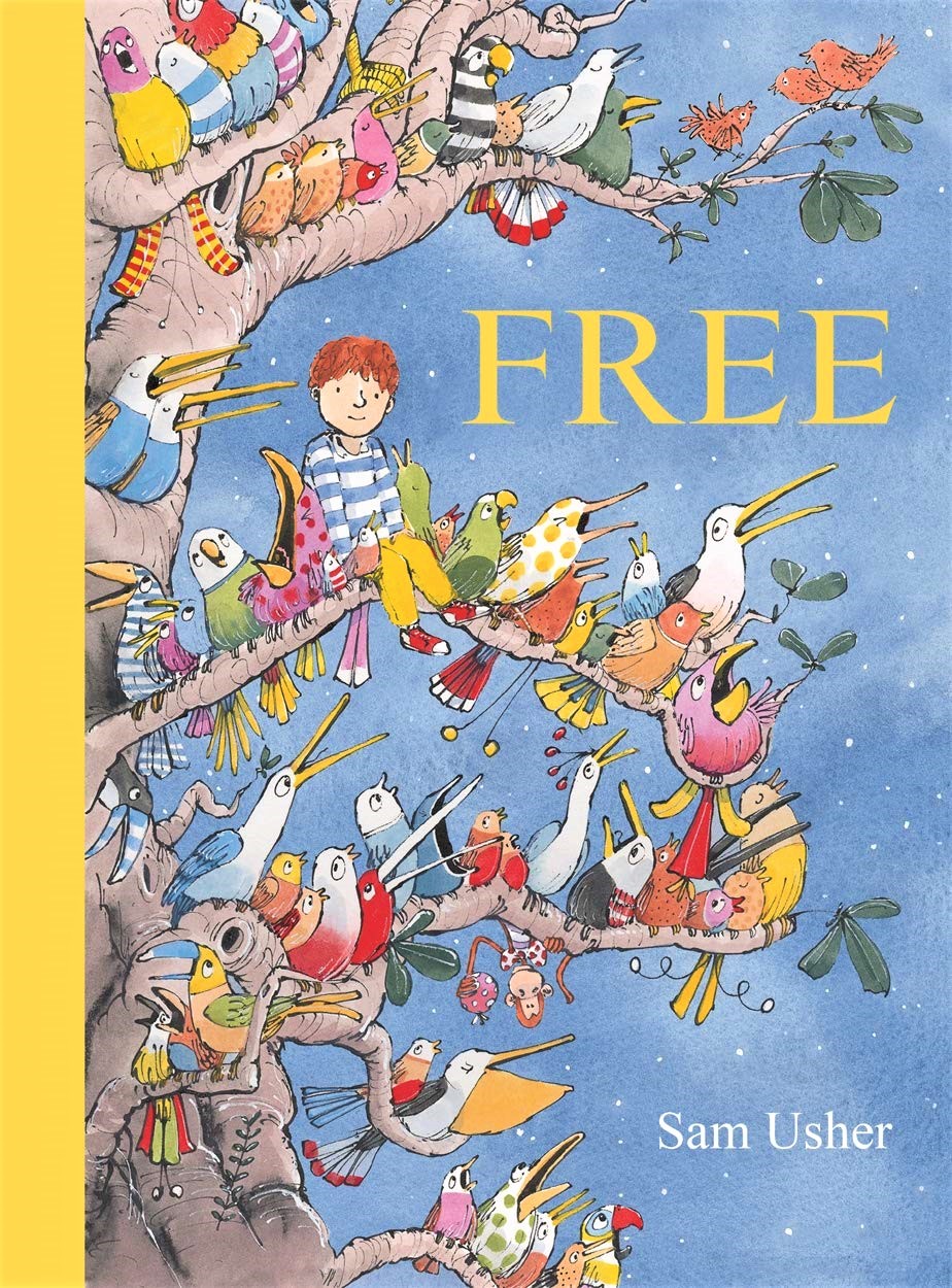 Chat with Vera: Three varied books for the picture book set - A rock ...