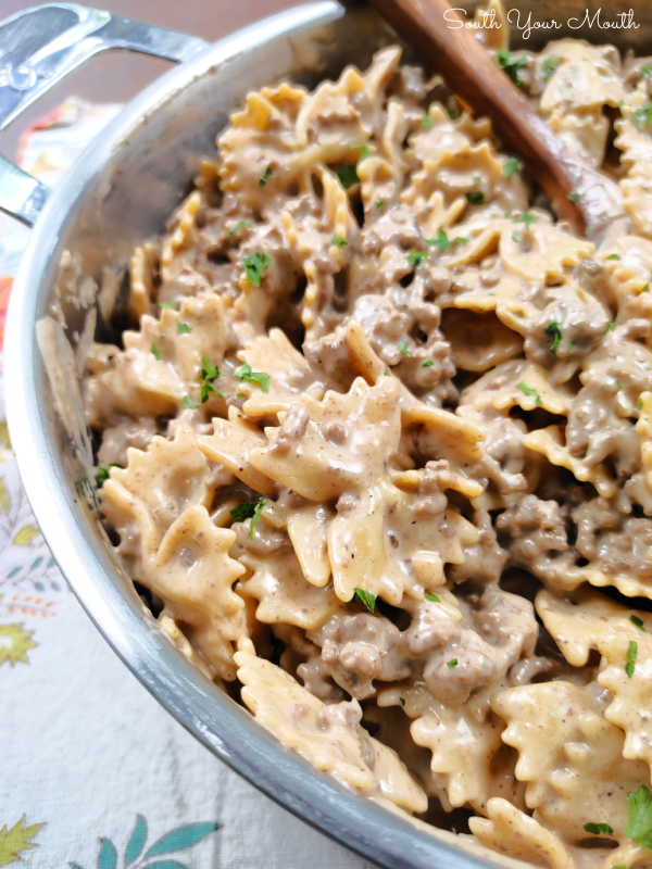 South Your Mouth: Helpful Hamburger Stroganoff