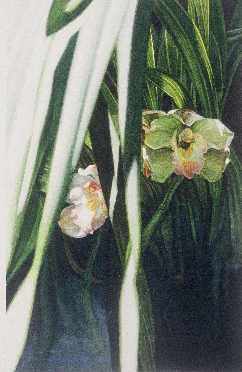 Sandra Fenton - Watercolor and Mixed Media paintings. Personal ...