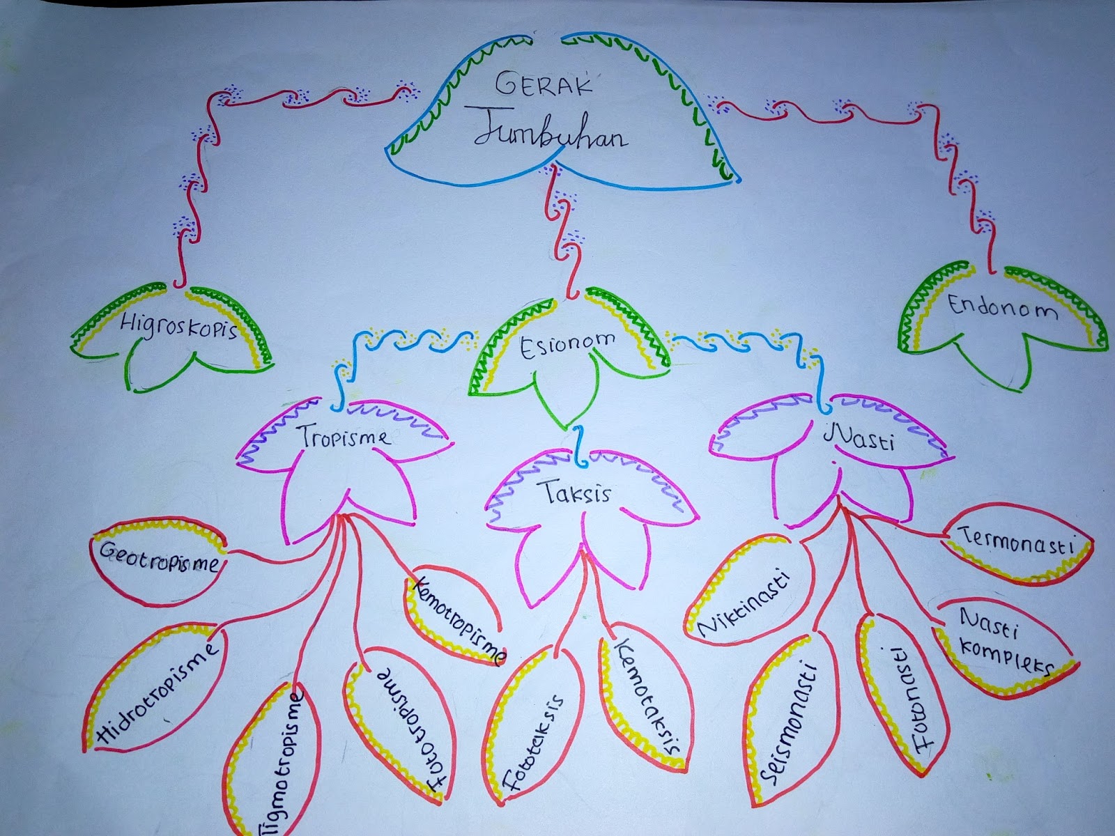MIND MAP MAKHLUK HIDUP