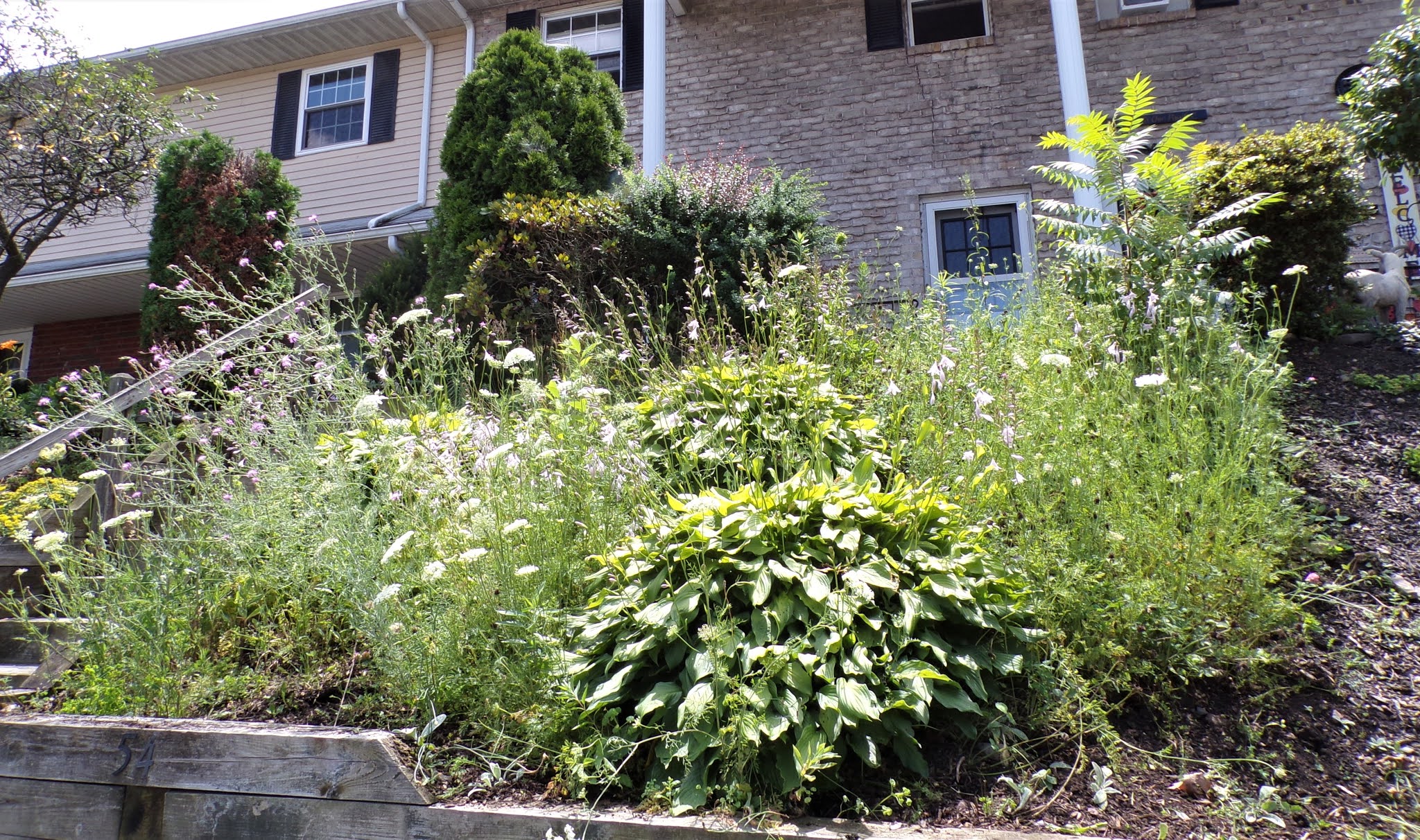 DEBBIE-DABBLE BLOG: A HUGE Landscaping Project.....