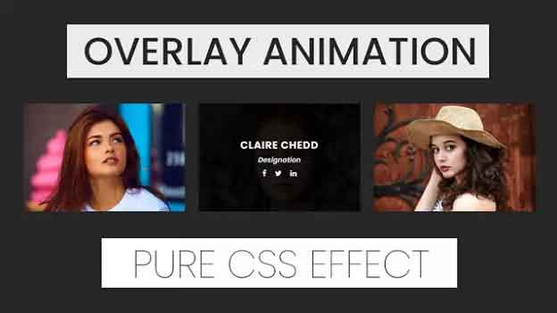 Image Hover CSS Animation with Caption Overlay Image Hover CSS Animation with Caption Overlay